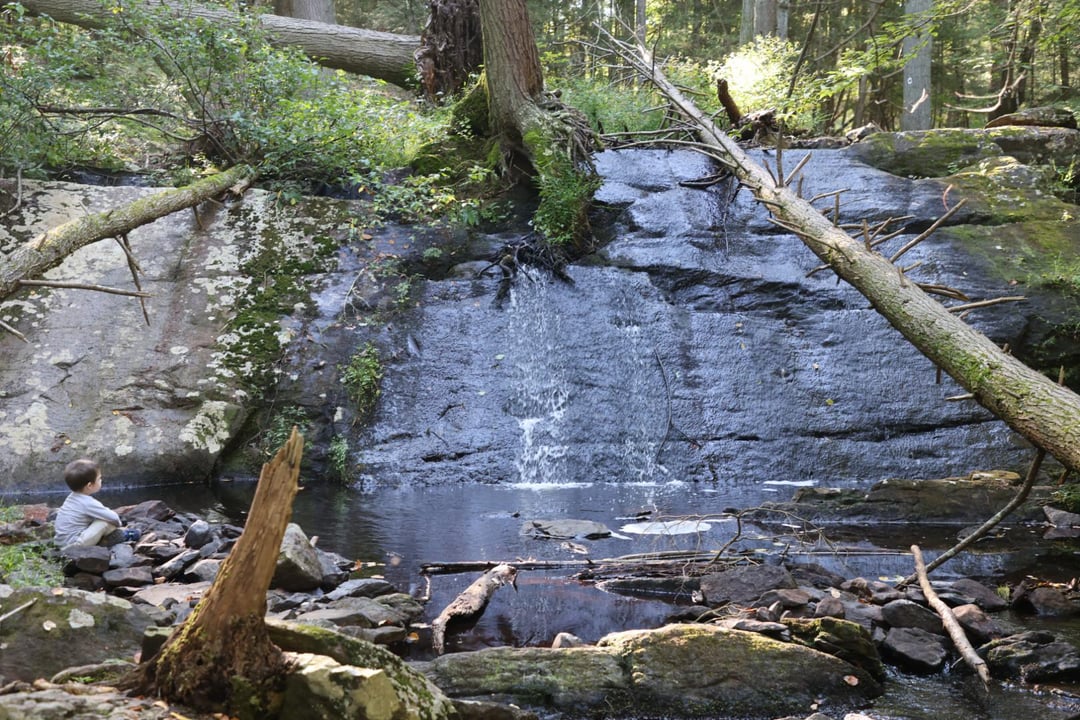 Stokes State Forest - La Vie Zine