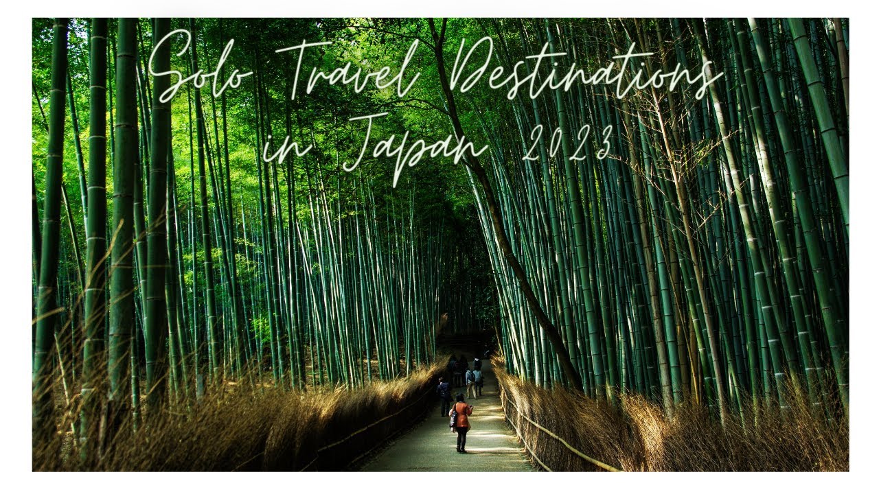 Best Solo Travel Destinations in Japan for 2023 - La Vie Zine