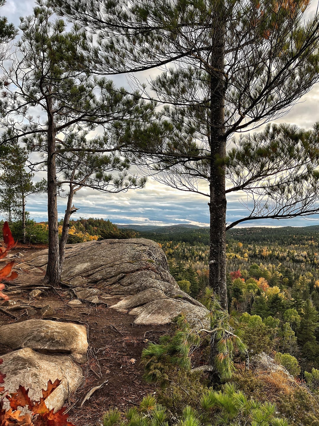 One of my favourite hiking destinations, Eagle’s Nest Lookout in ...