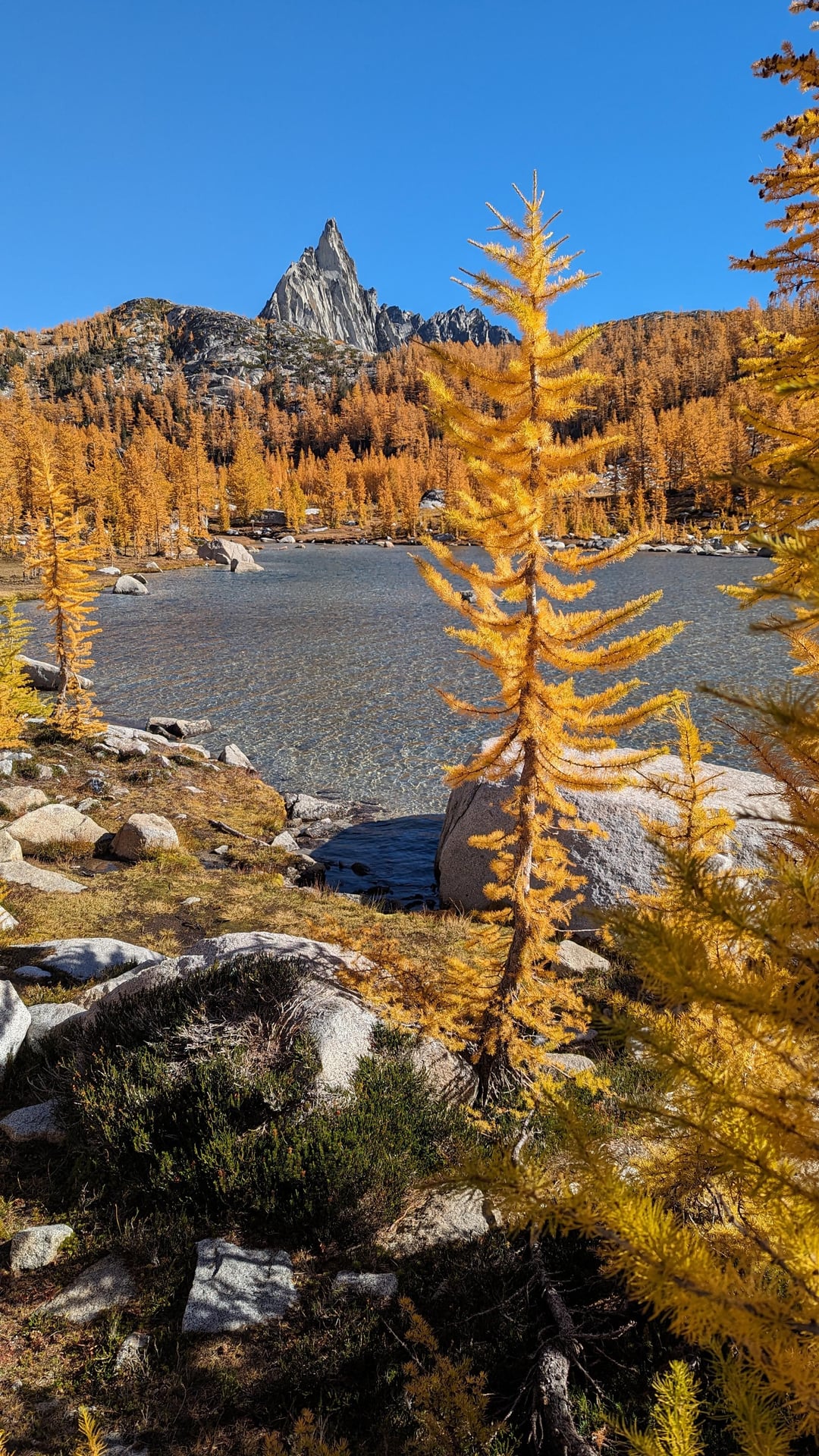 Finally completed the Enchantments Traverse, the fall colors are unreal ...