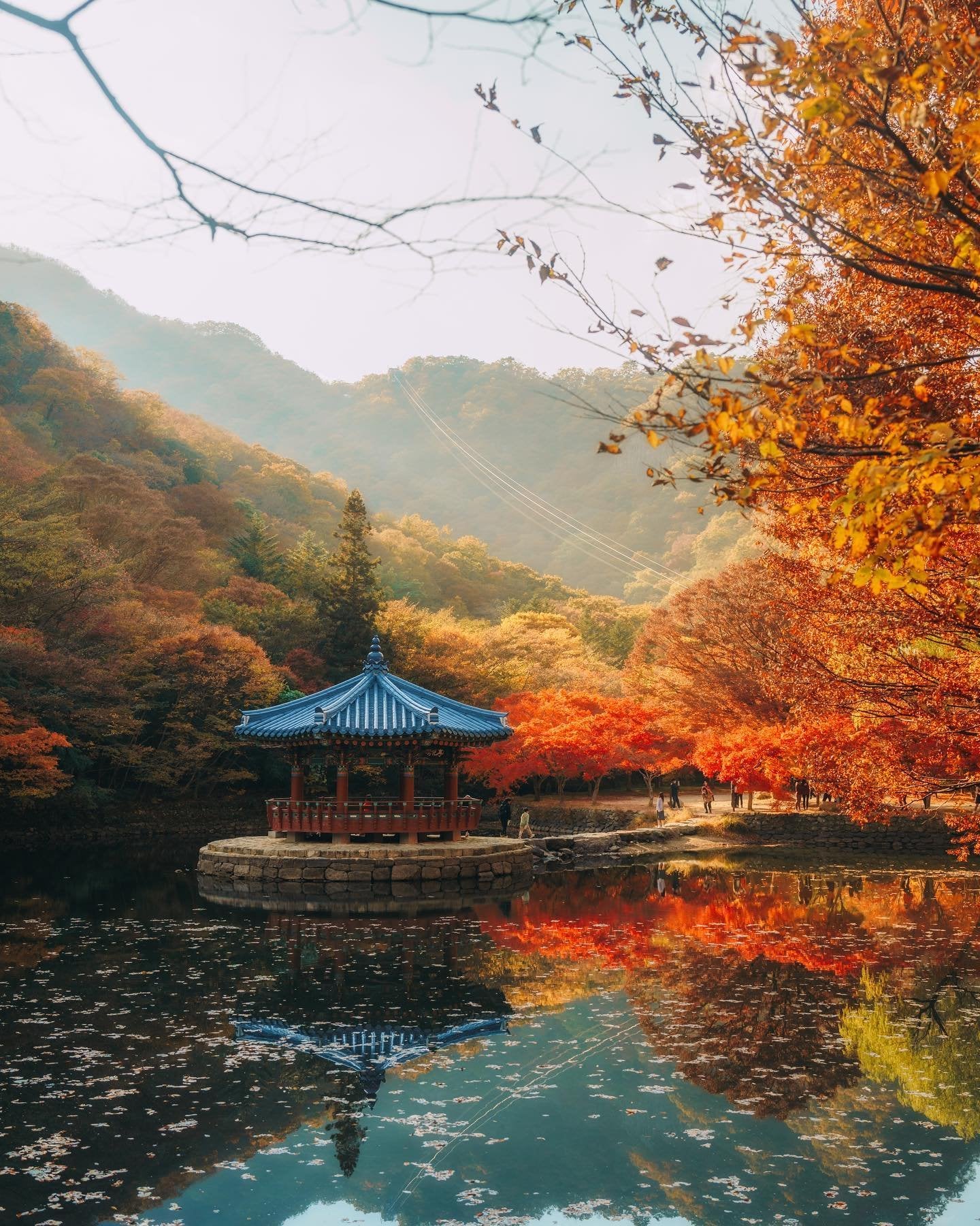 Wuhwa Pavilion and the pond covered with fallen autumn leaves in the ...