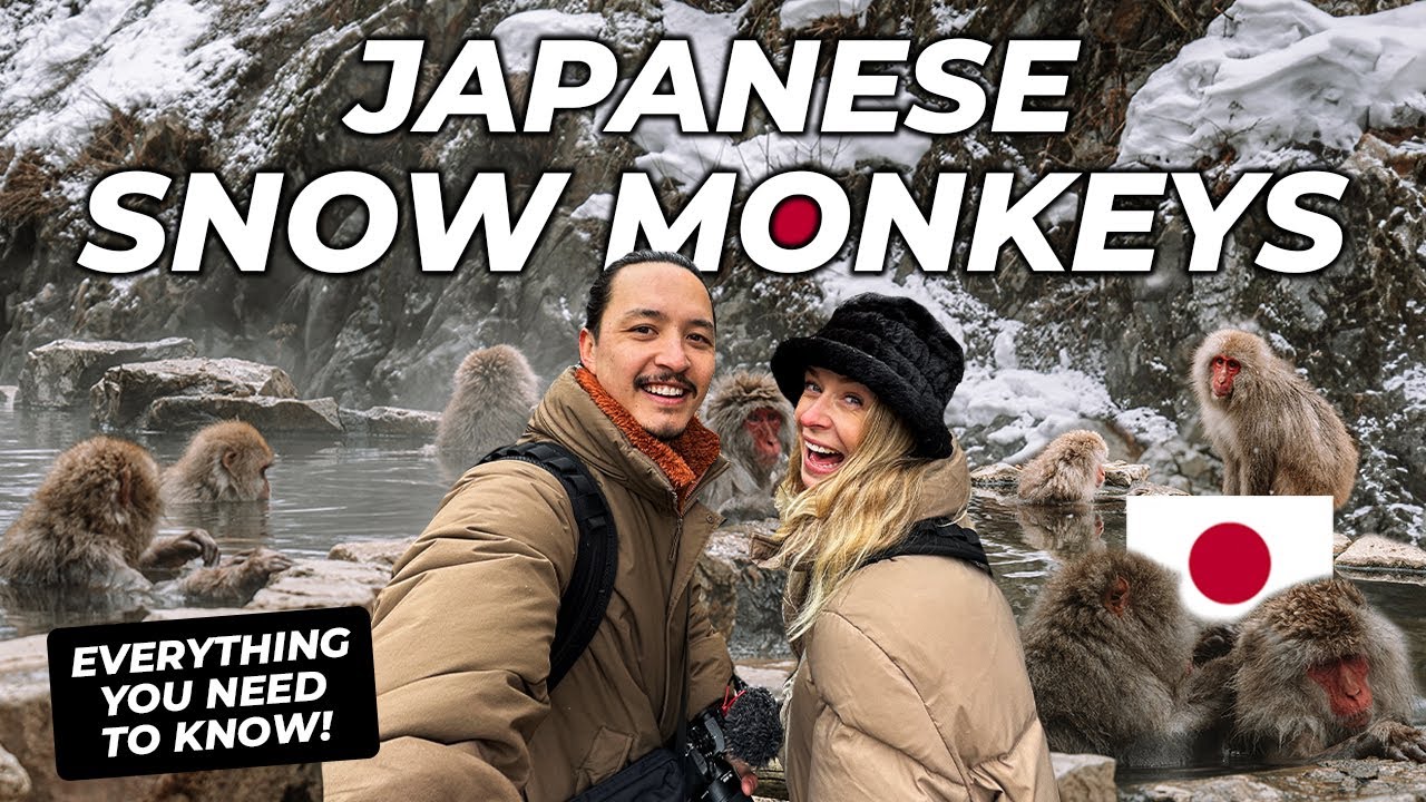Japanese SNOW MONKEY Park | Winter trip to Nagano Japan vlog ...