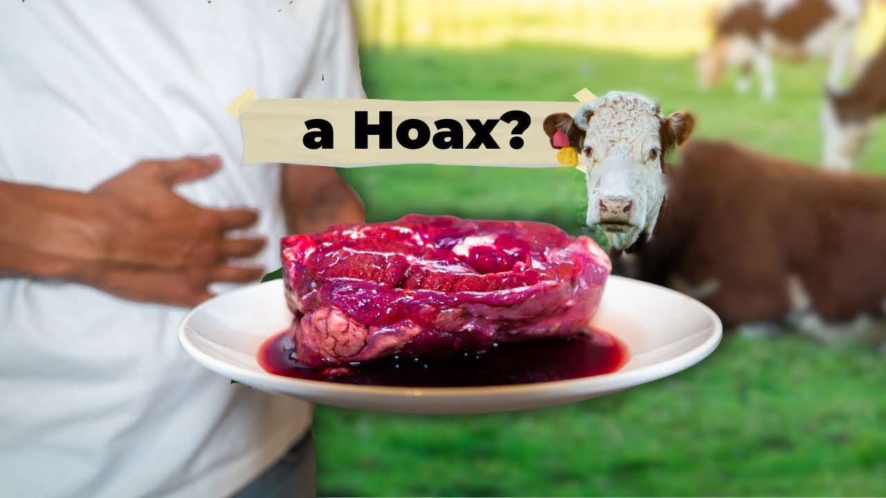 Documentary: I ate only meat for 30+ Days - Debunking The Carnivore ...