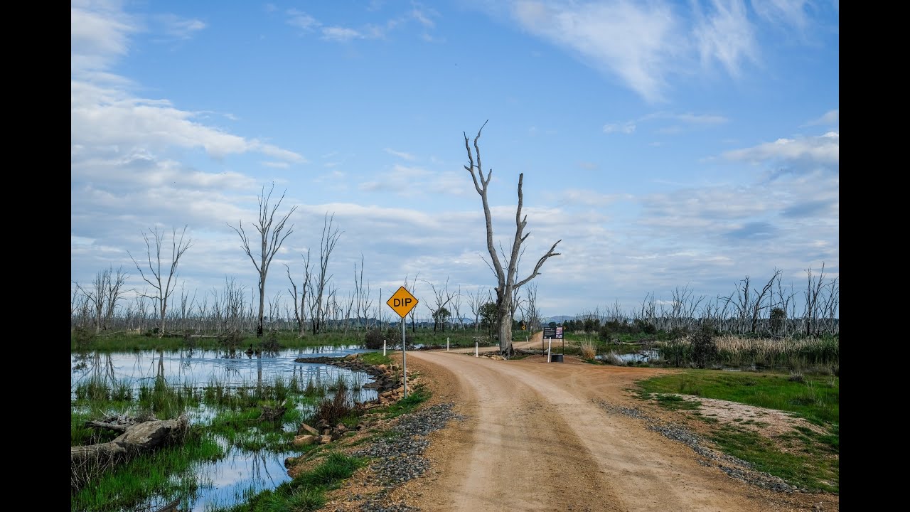 Winton Wetlands: Unexpected Discovery between Sydney & Melbourne ...