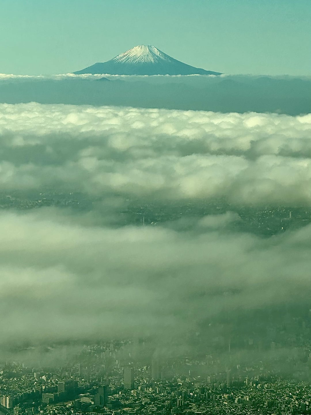 “Harmony in Contrast: A Captivating Experience of Mt. Fuji and Tokyo ...