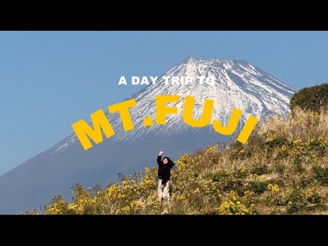 day trip to mt.fuji from tokyo | #japan #haul #food things to do in mt ...