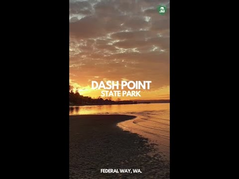 PLACES TO CAMP: DASH POINT STATE PARK - La Vie Zine