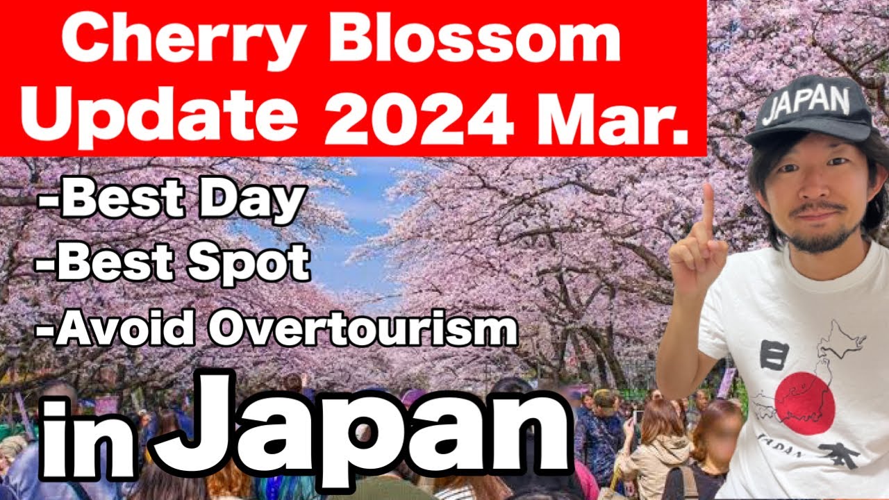 Spring Travel Tips - Japan's Cherry blossom Updates 2024 | Sakura in ...