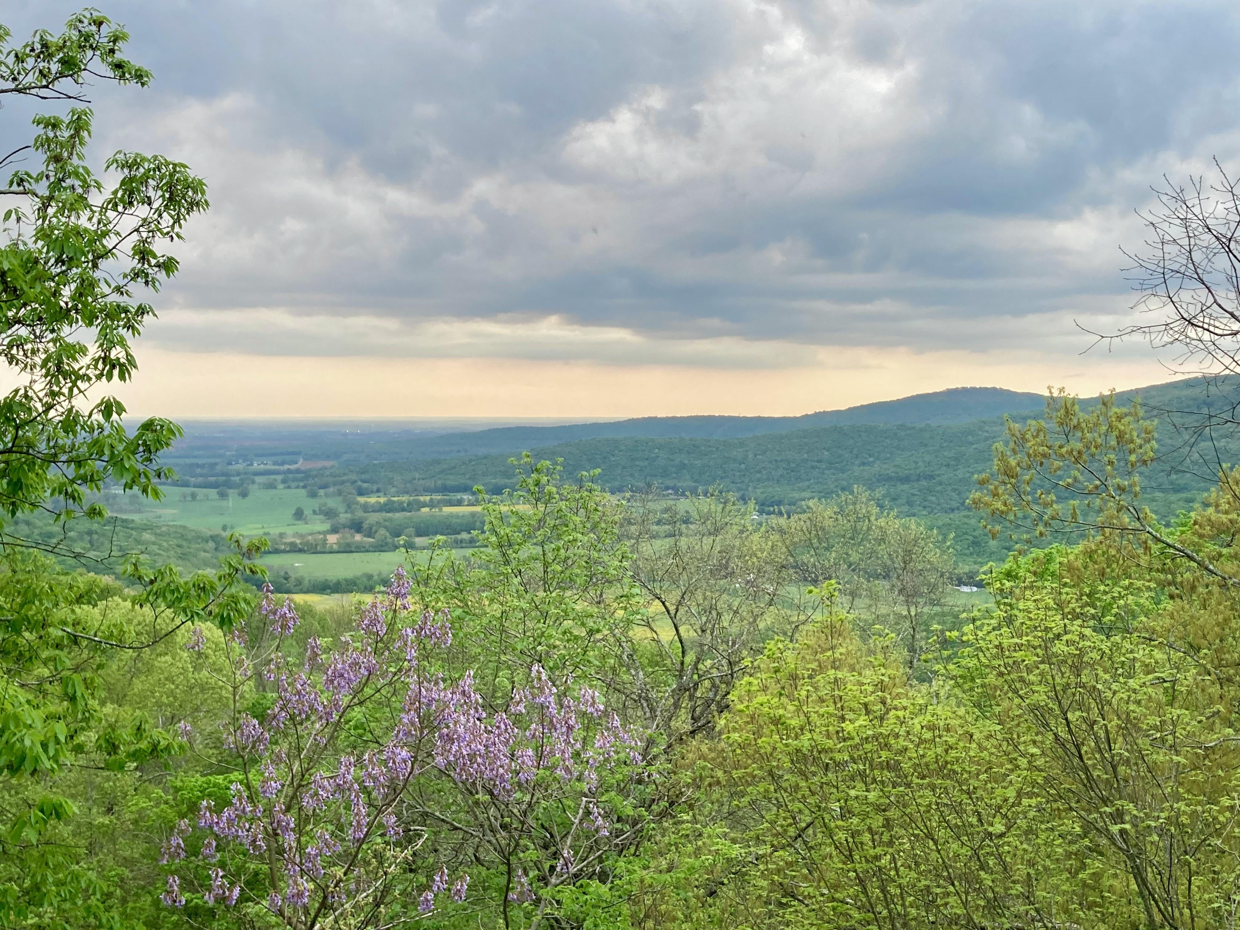 A lovely spring perspective that I snapped from the University of the ...