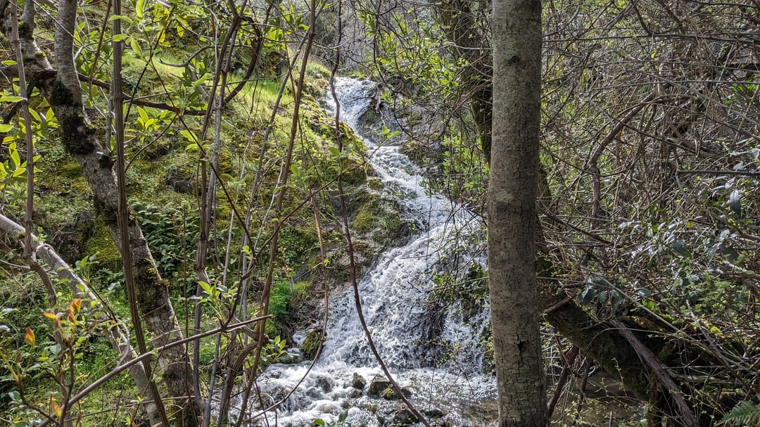 Waterfalls of Mt. Diablo State Park - La Vie Zine