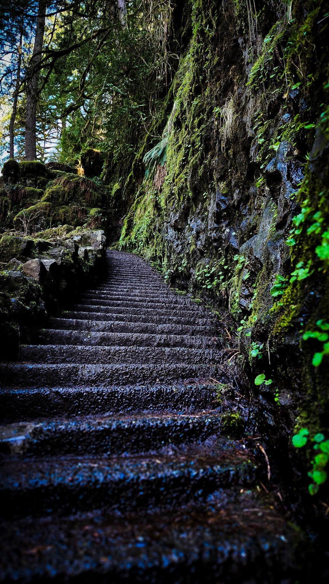 These rocky stairs are about two miles deep into a trail - La Vie Zine