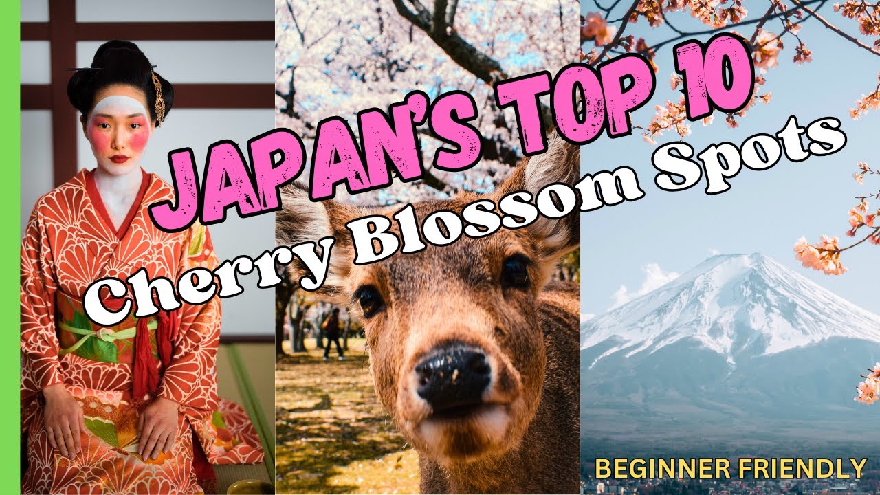Top 10 Cherry Blossom Spots in JAPAN | First Time Visitors | Tokyo, Kyoto, Osaka, Nara, Mt Fuji ...