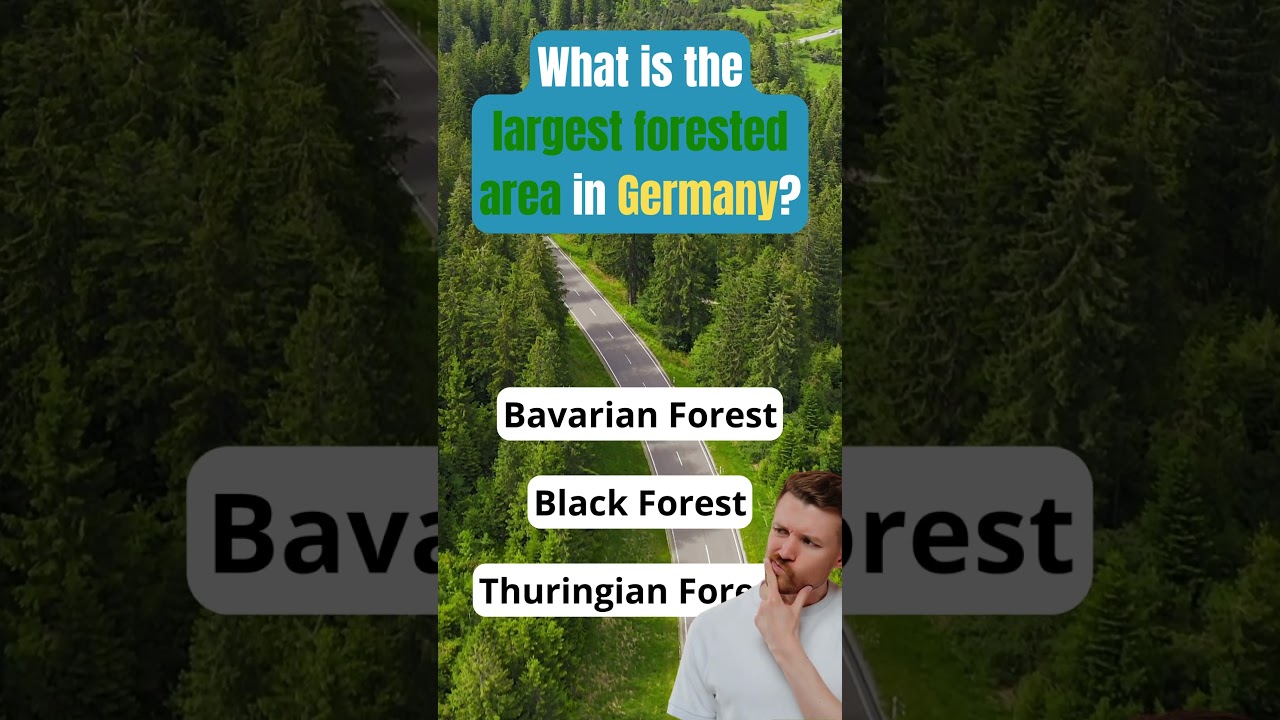 Germany's Natural Wonder: The Largest Forest Revealed! 🌳 #viraltravel # ...