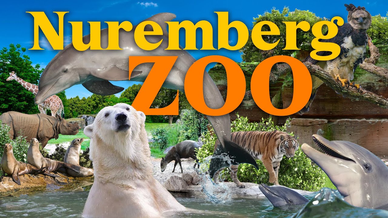 Nuremberg Zoo - a must see in Germany! | Zoo Review - La Vie Zine