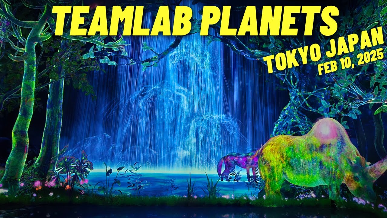 My experience at TeamLab Planets in Tokyo Japan & Walk-through February ...