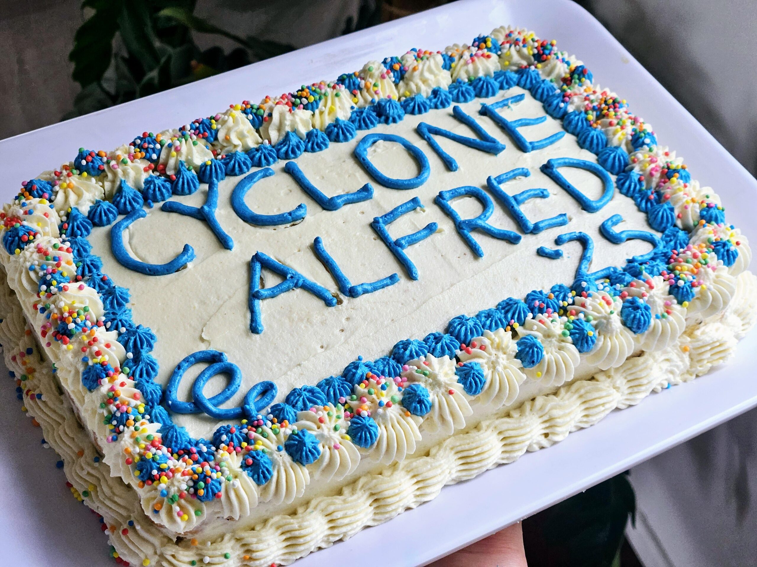 We are waiting for a cyclone impact, but at least we have cake! - La ...