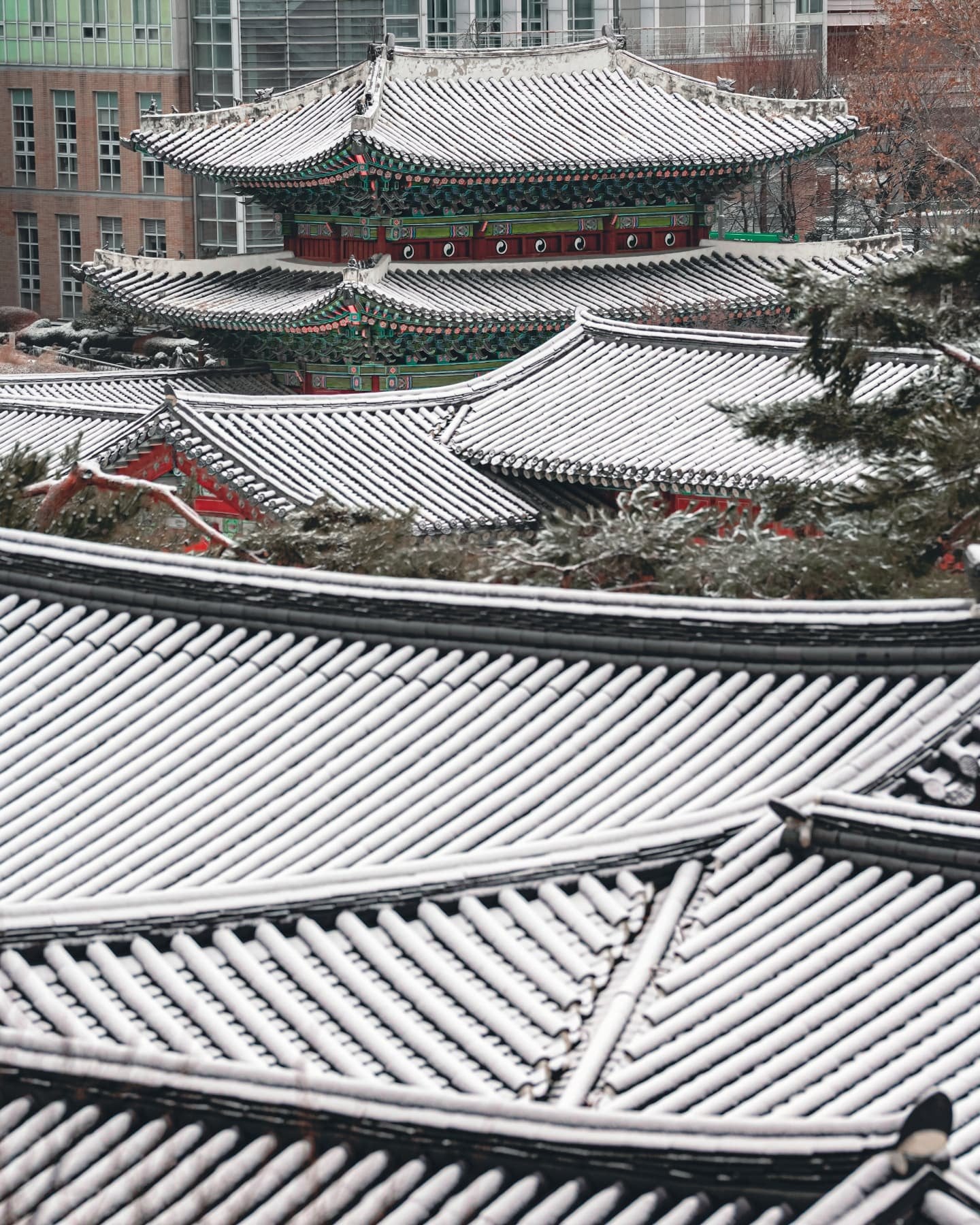 17th-century Honghwamun Gate and the snow-covered giwa roofs of ...