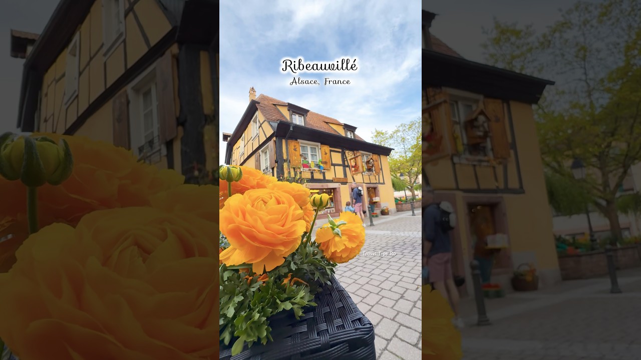 🐰 Easter in Alsace, Ribeauvillé, France 🇫🇷 #happyeaster #alsace # ...