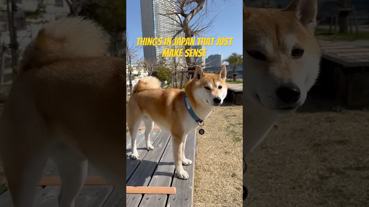 Things in Japan That Just Make Sense - La Vie Zine