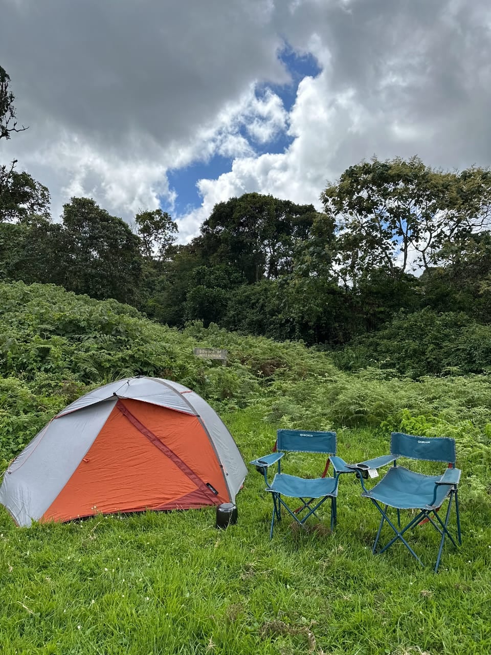 Quick Escape to Castle Forest, Kirinyaga. KENYA - La Vie Zine