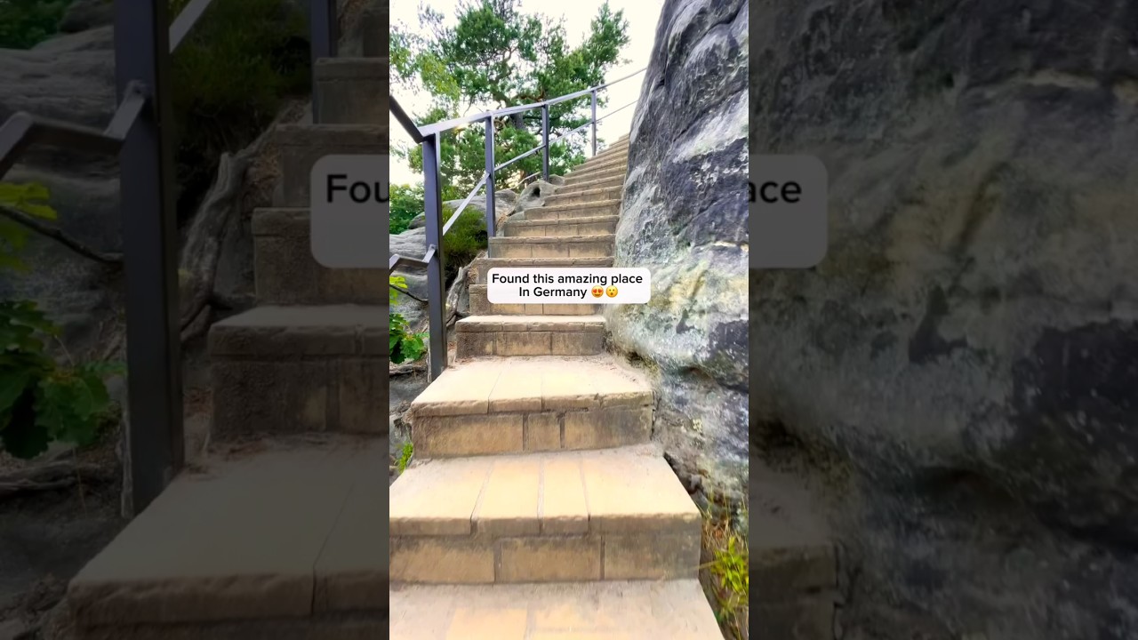 Over the River and through the Woods 🎭📍Bohemian - Saxon Switzerland ...