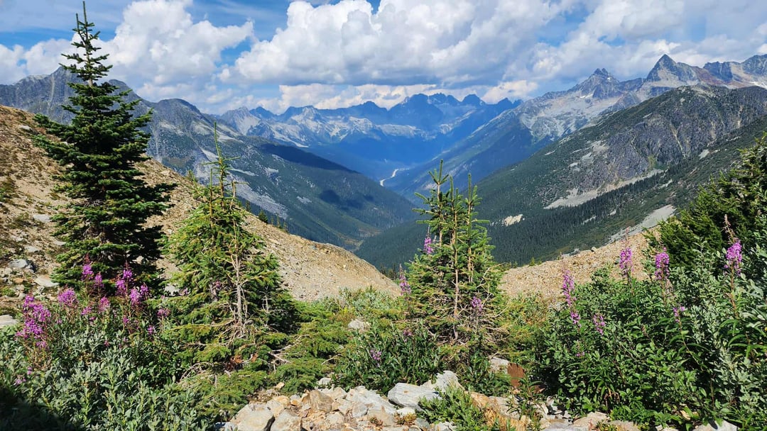 Asulkan Valley Trail, Glacier National Park (Canada) - La Vie Zine